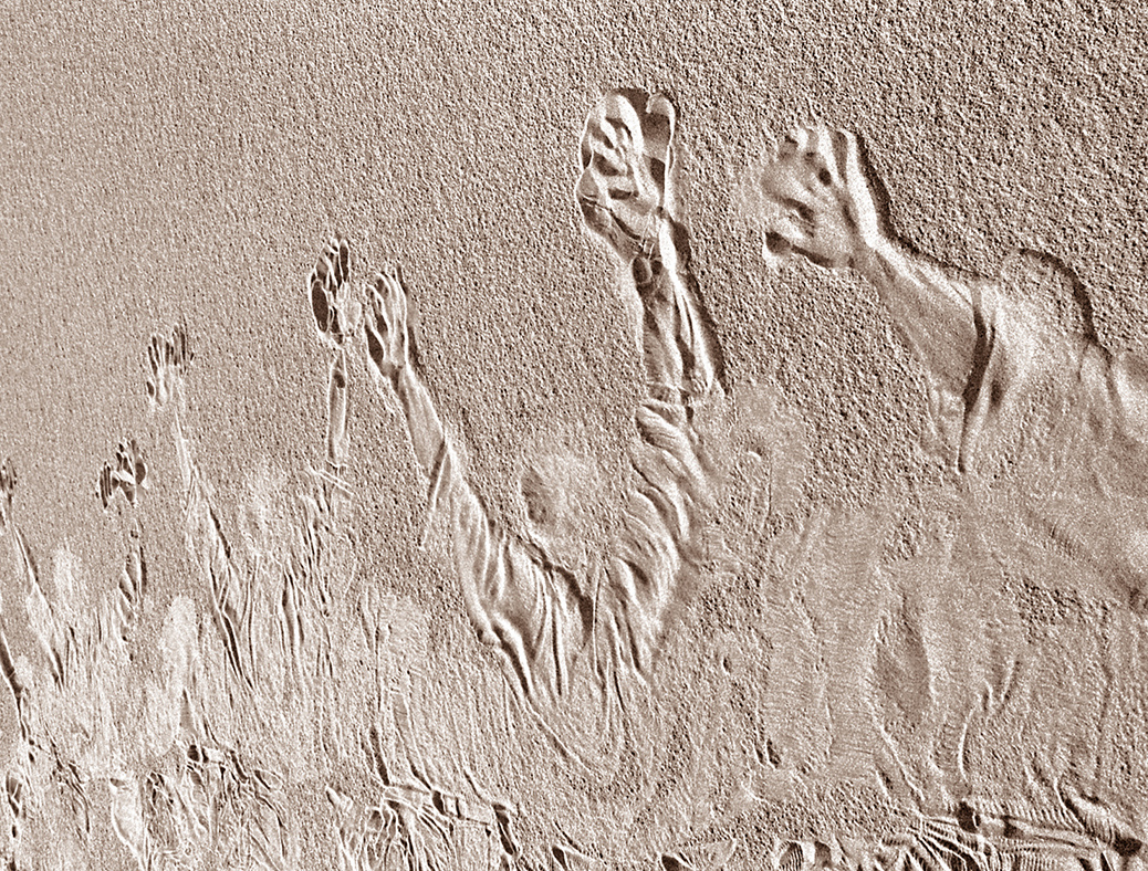 Traces of Life - Ray Moon Photo - Raymond Martinez Photographer