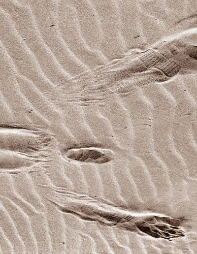 Traces of Life - Ray Moon Photo - Raymond Martinez Photographer